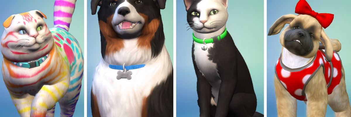 Game mèo chơi Tết, hay những tựa game về mèo đỉnh nhất cho bạn đọc Sforum