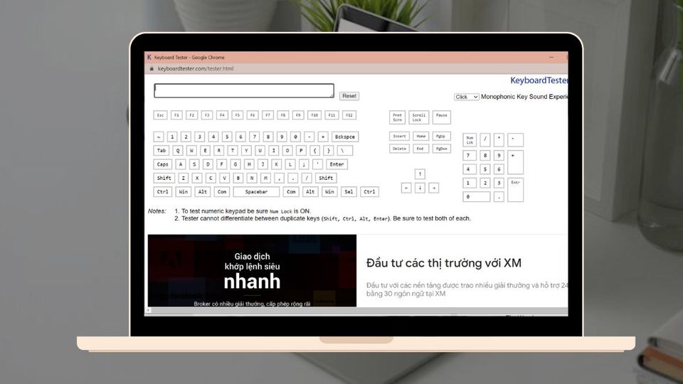 Top 8 website Keyboard tester online cho laptop, máy tính