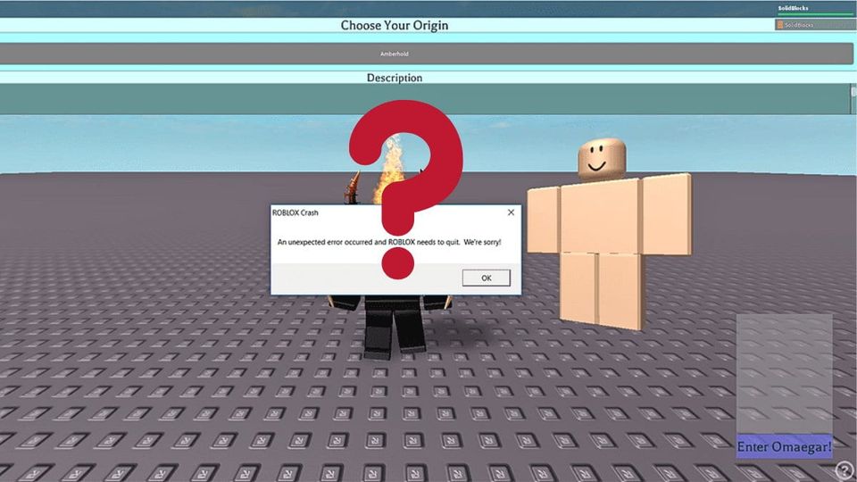 14 Cách fix lỗi Roblox Crash không vào được thành công