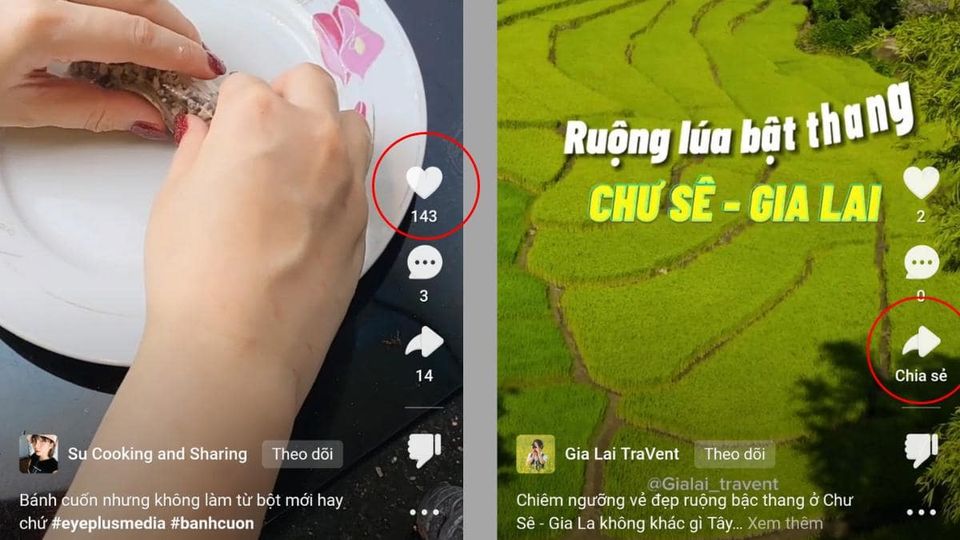 Zalo Video là gì? Cách đăng ký tài khoản Zalo Video Creator