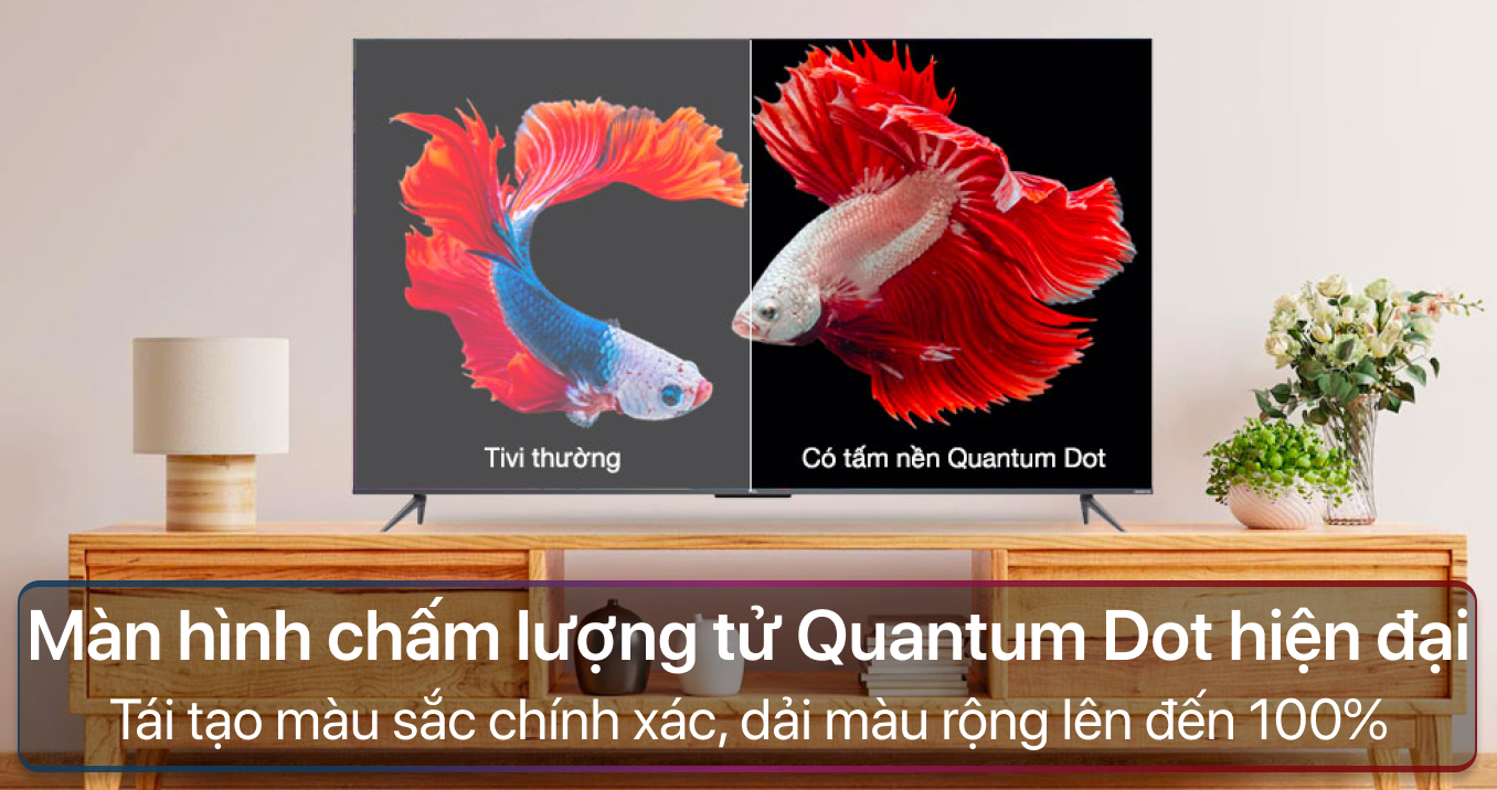 Google Tivi QLED TCL 4K 43 inch 43Q636 | Giá cực tốt