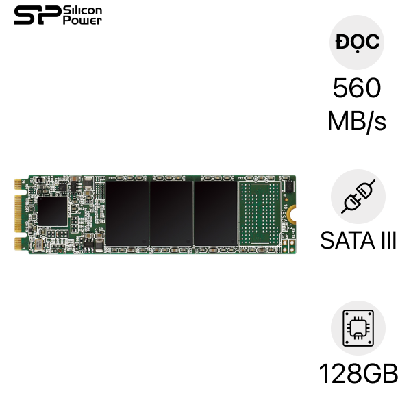 Ổ cứng SSD Silicon Power A55 128GB M2 2280 SATA III | Giá rẻ