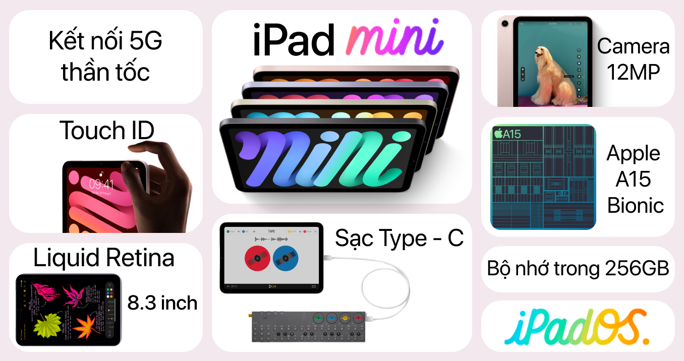iPad mini 6 LTE 4GB 256GB - Chính hãng Đã kích hoạt | Giá rẻ