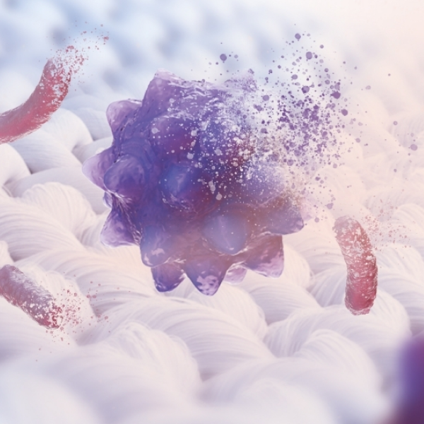 Máy giặt sấy Panasonic cửa ngang giặt 9kg - sấy 2kg 2022 (NA-V90FC1LVT) | Chính hãng, giá tốt