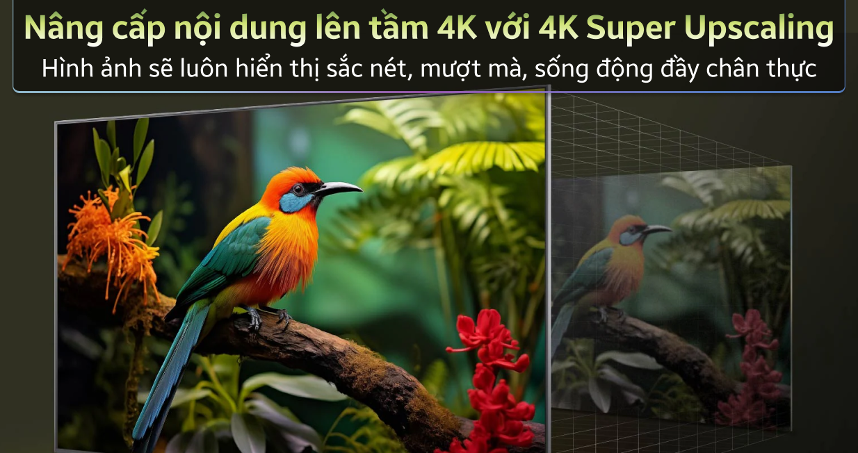 Smart Tivi LG QNED 4K 55 inch 2025 (55QNED81) | Giá tốt, ưu đãi mua cực ...