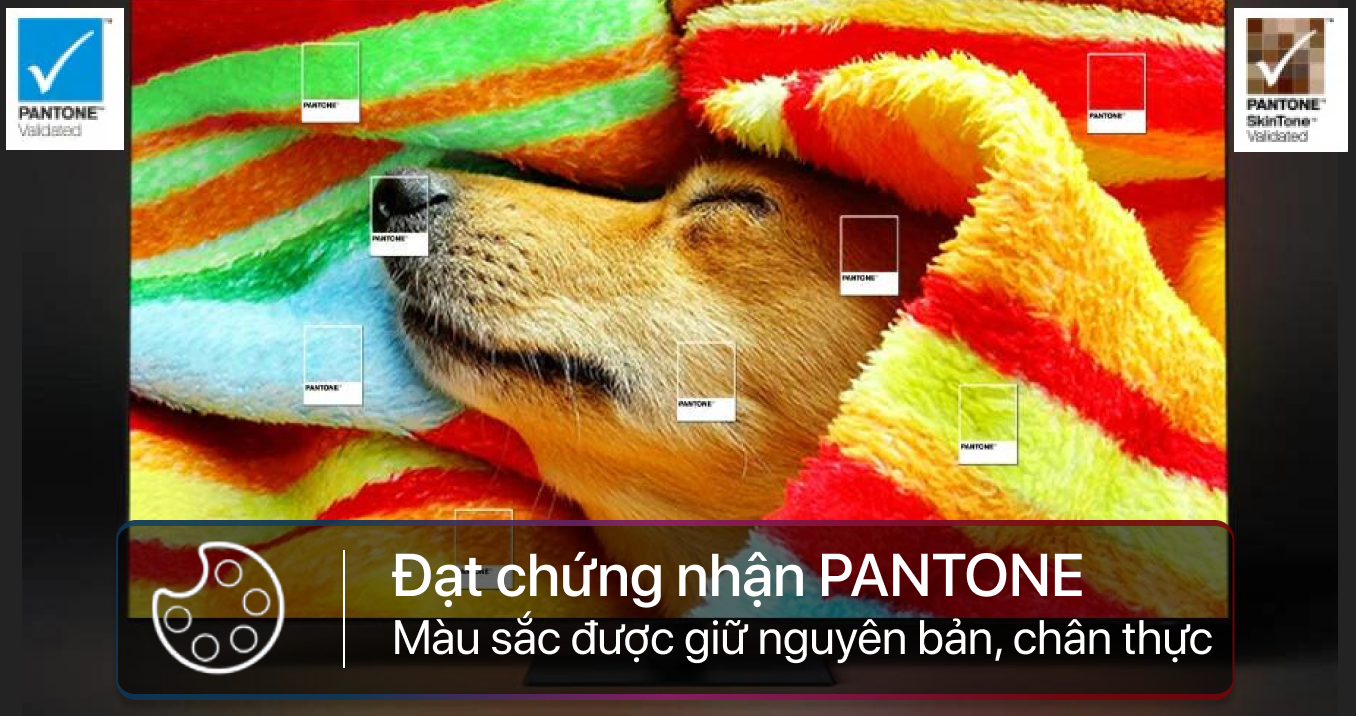 Smart Tivi Samsung QLED 4K 75 inch QA75Q70C | Giá cực tốt